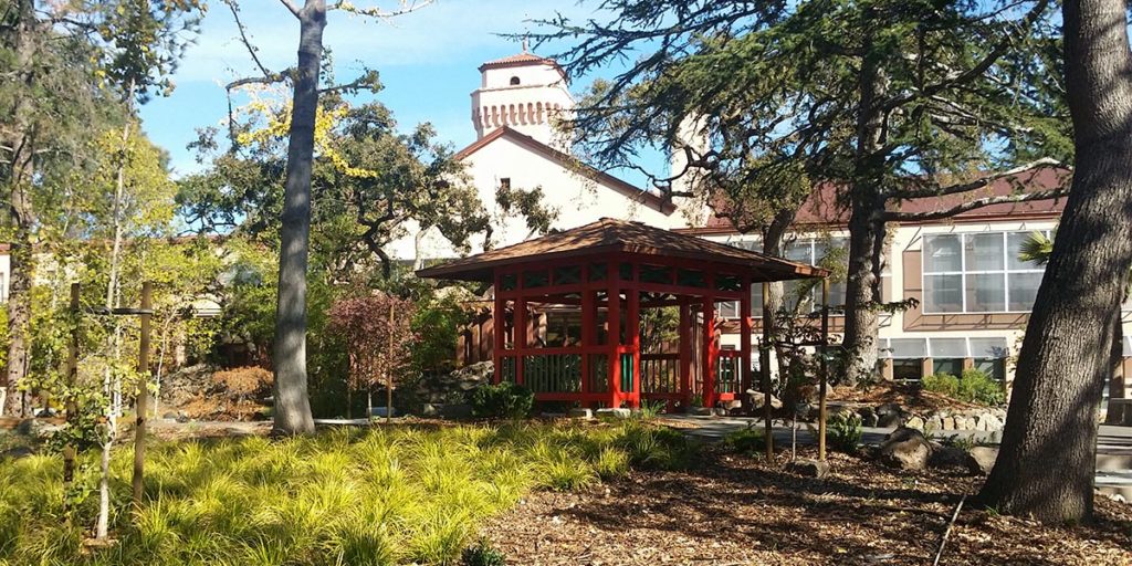 Sequoia High School Tea Garden - Hohbach-Lewin